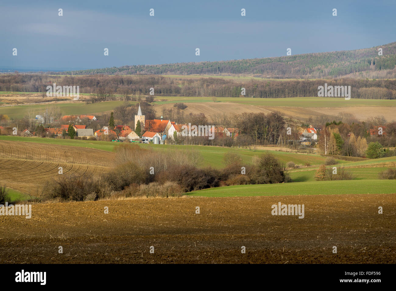 Wiry hi-res stock photography and images - Alamy