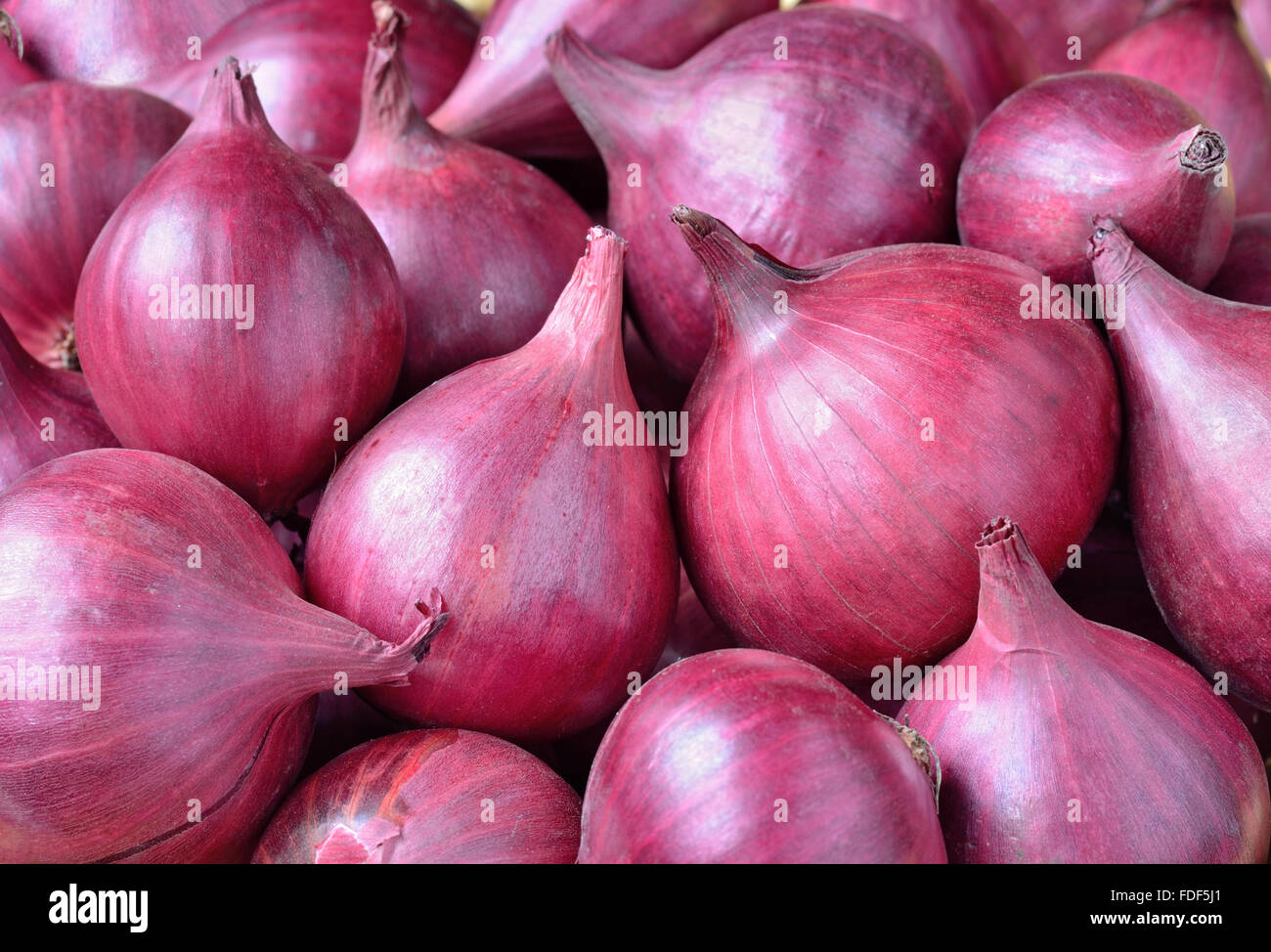 Red onion crop. close up Stock Photo - Alamy