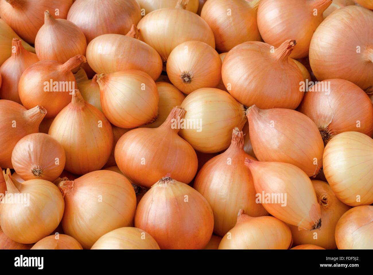 Yellow onions crop. Close up Stock Photo - Alamy