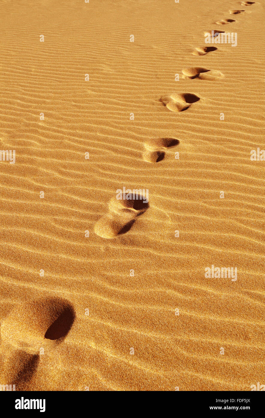 Close up wave footprints in the sand hi-res stock photography and ...