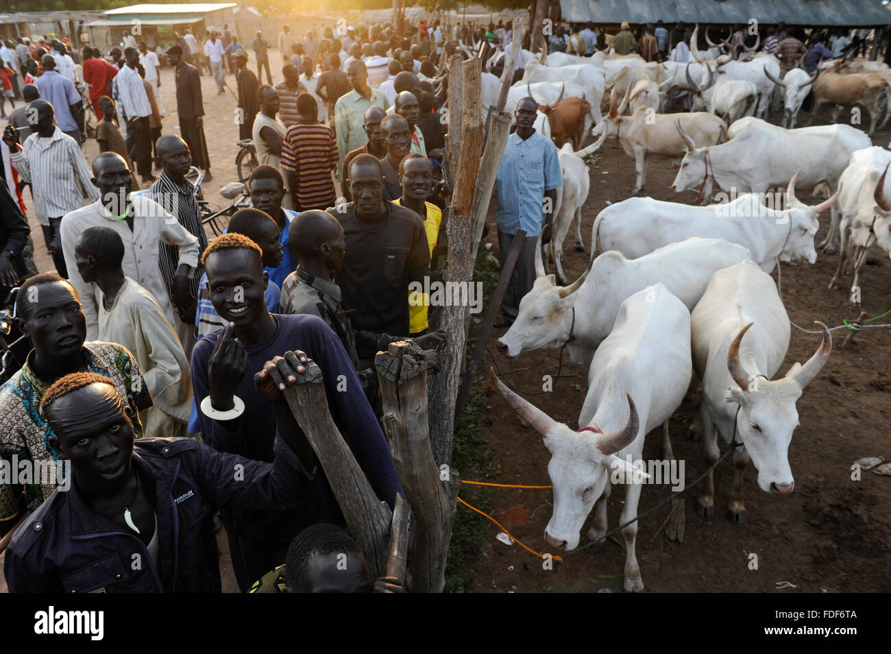 SOUTH SUDAN Bahr al Ghazal region , Lakes State, town Rumbek, cattle ...
