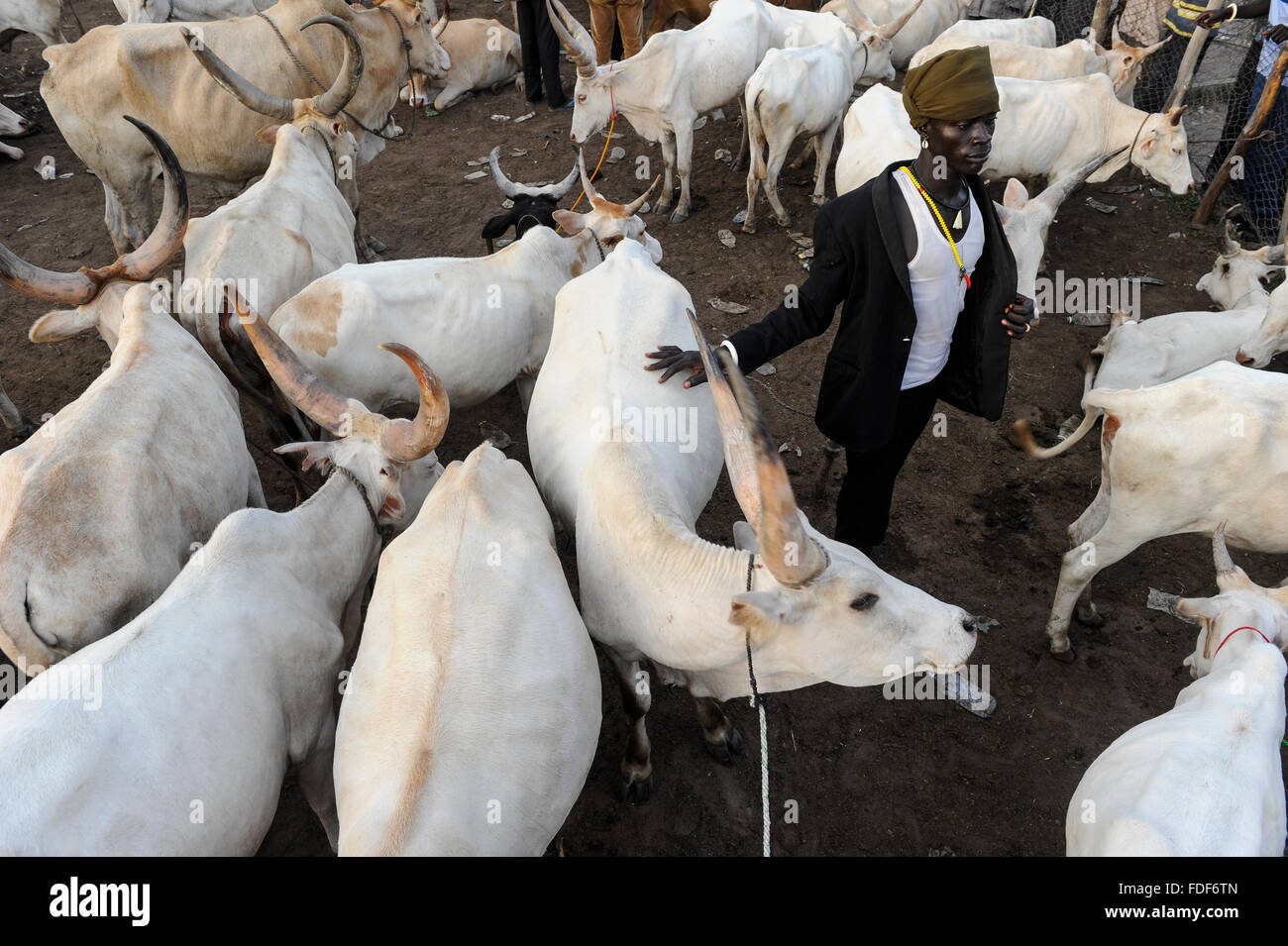 SOUTH SUDAN Bahr al Ghazal region , Lakes State, town Rumbek, cattle ...