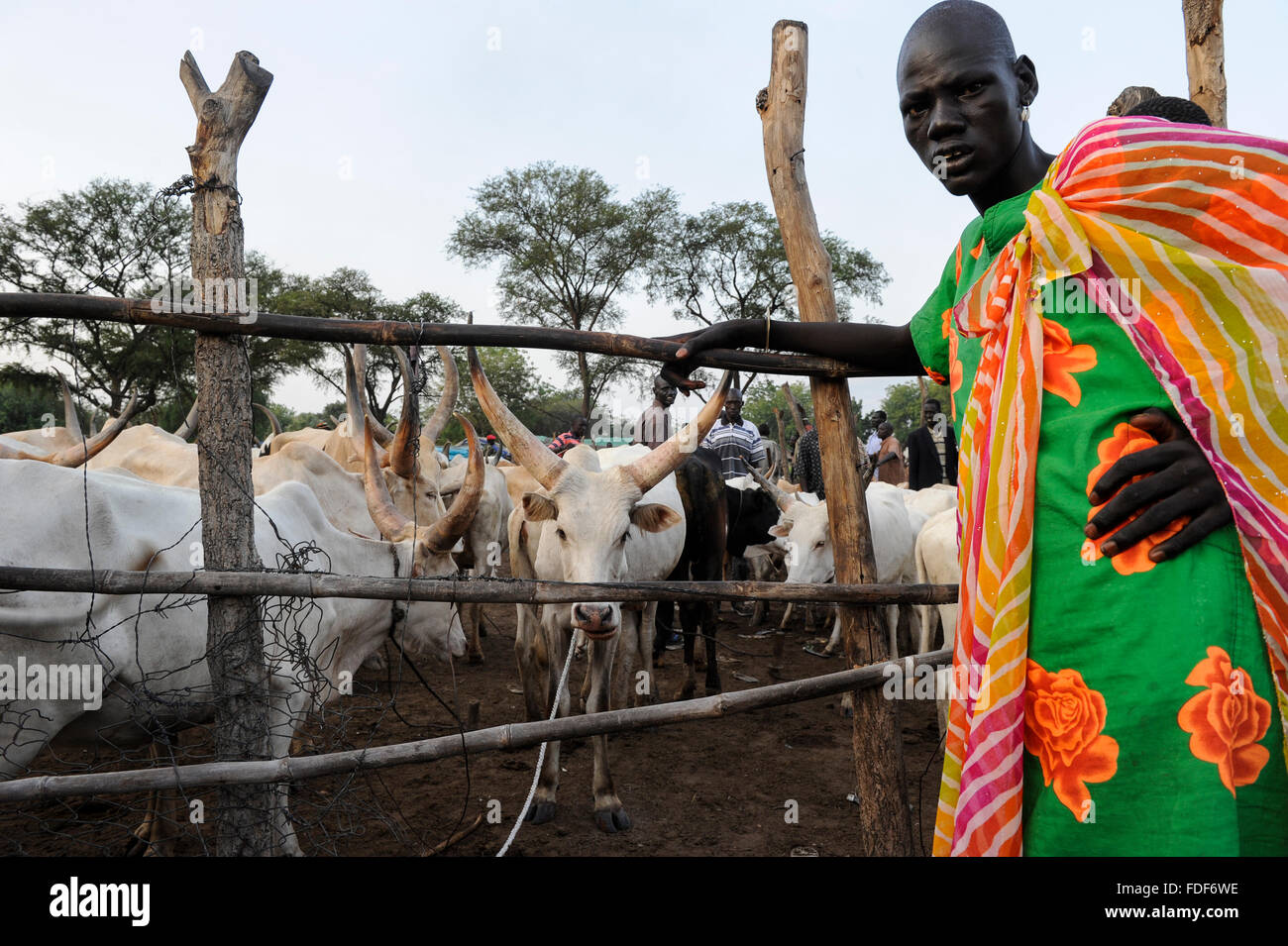 SOUTH SUDAN Bahr al Ghazal region , Lakes State, town Rumbek, cattle ...