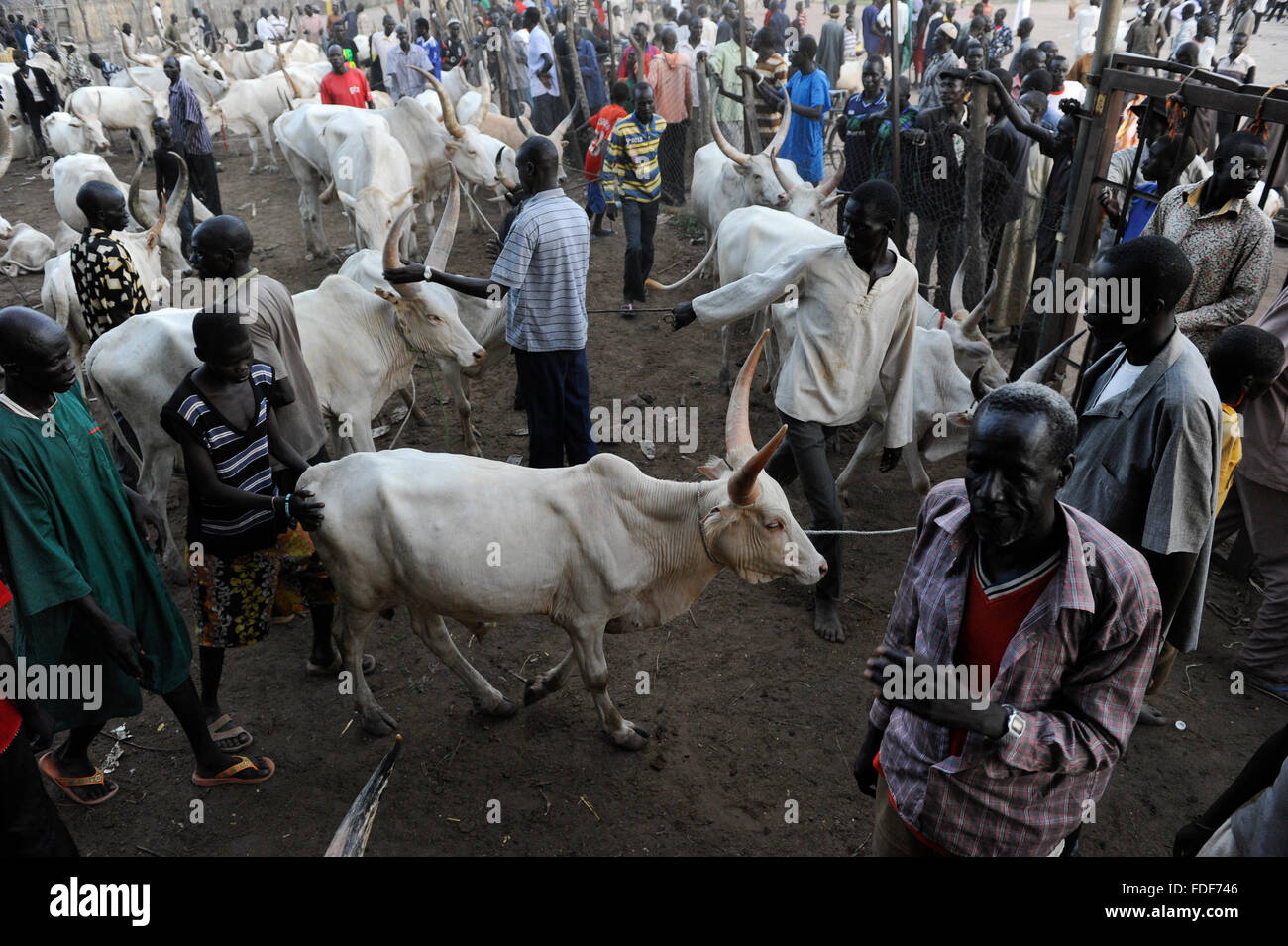 Dinka volksgruppe hi-res stock photography and images - Alamy
