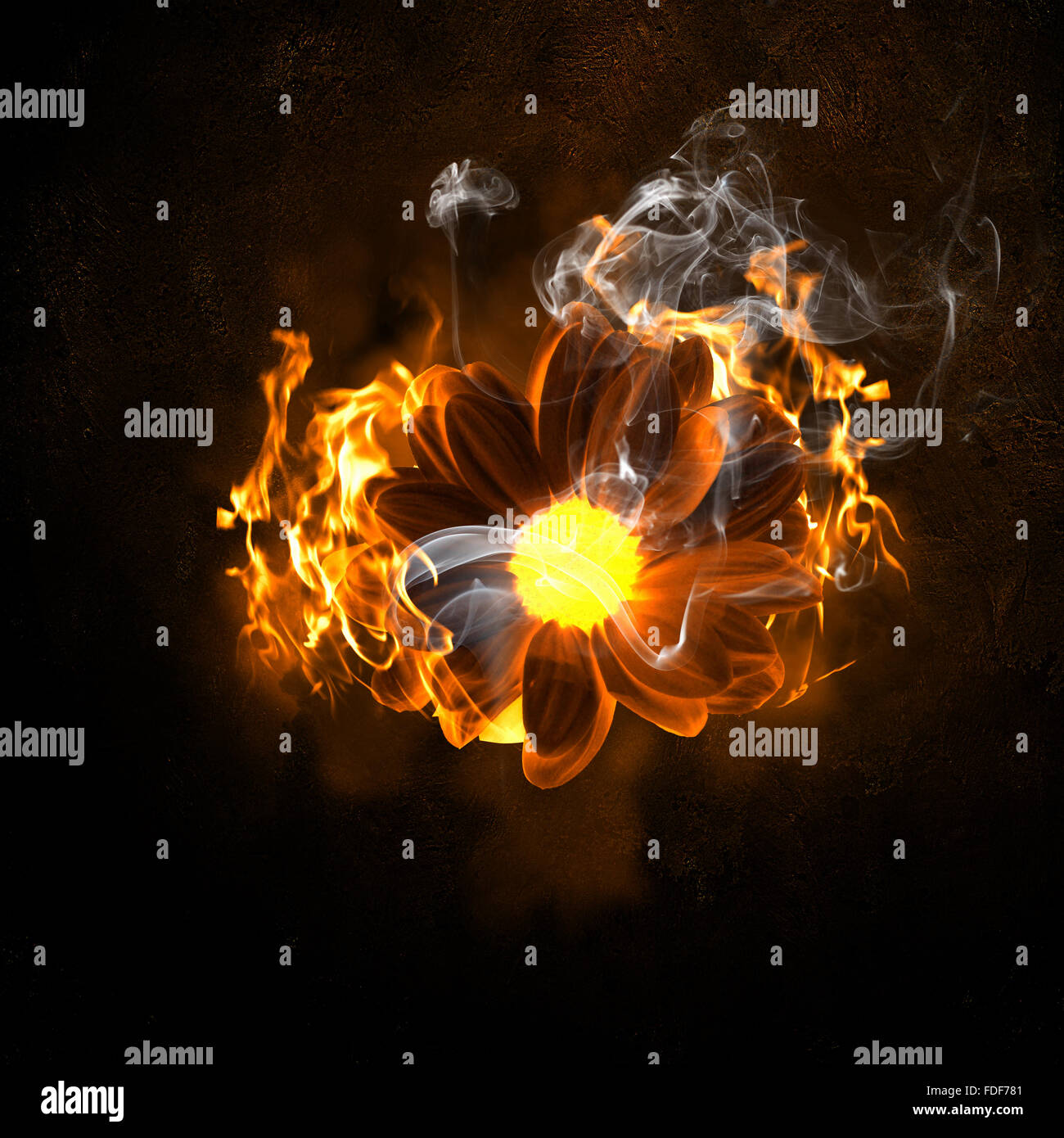Illustration of flower in fire flames. Danger concept Stock Photo - Alamy