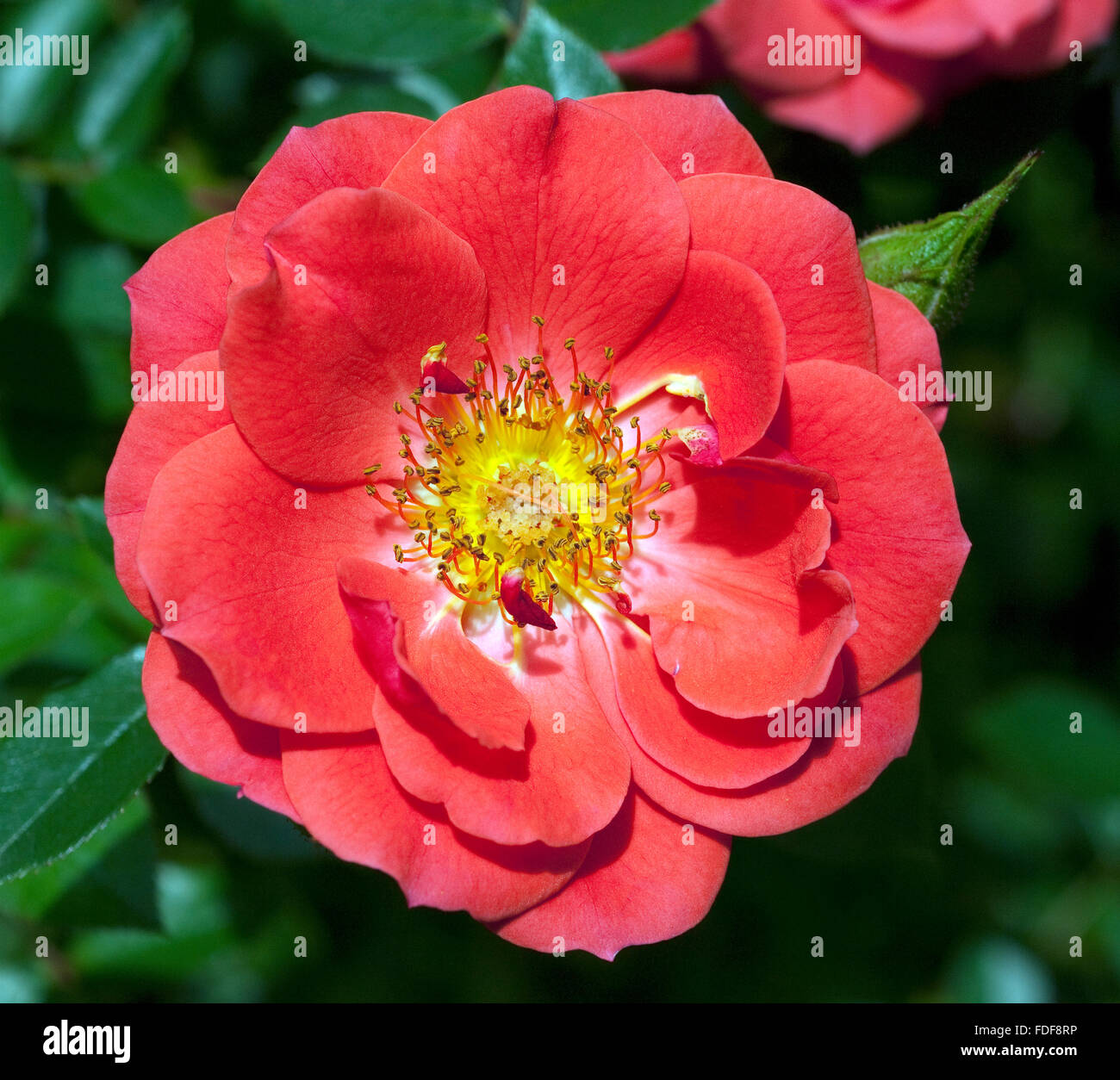 Chewhighway hi-res stock photography and images - Alamy