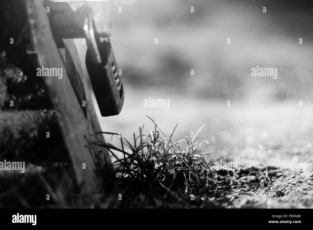 Shallow lighting Black and White Stock Photos & Images - Alamy