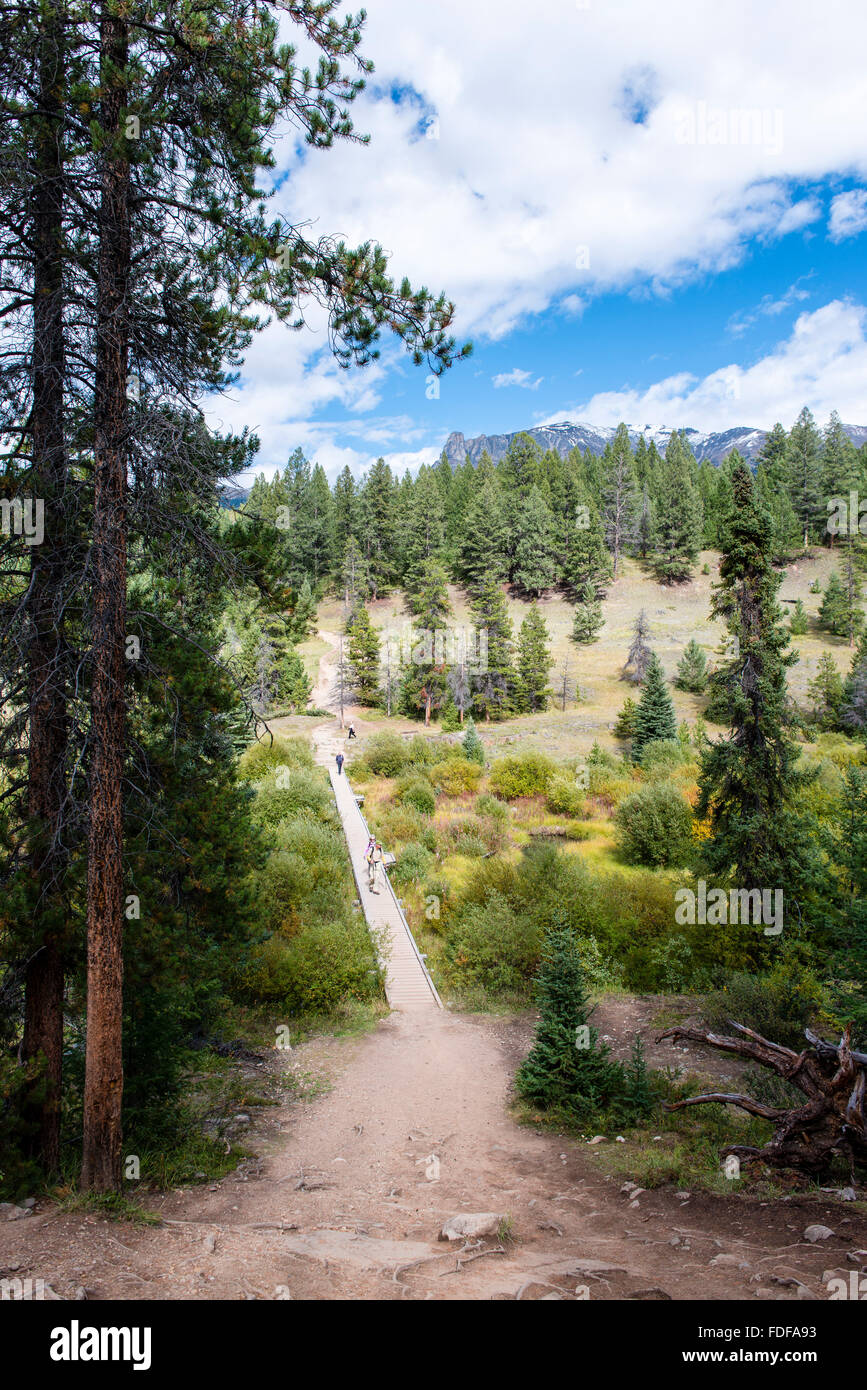 Valley of the Five Lakes, hiking way, canadian Rocky Mountains, Jasper ...