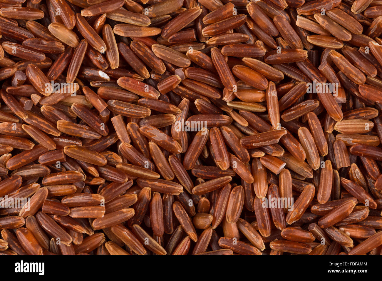 Himalayan rice hi-res stock photography and images - Alamy