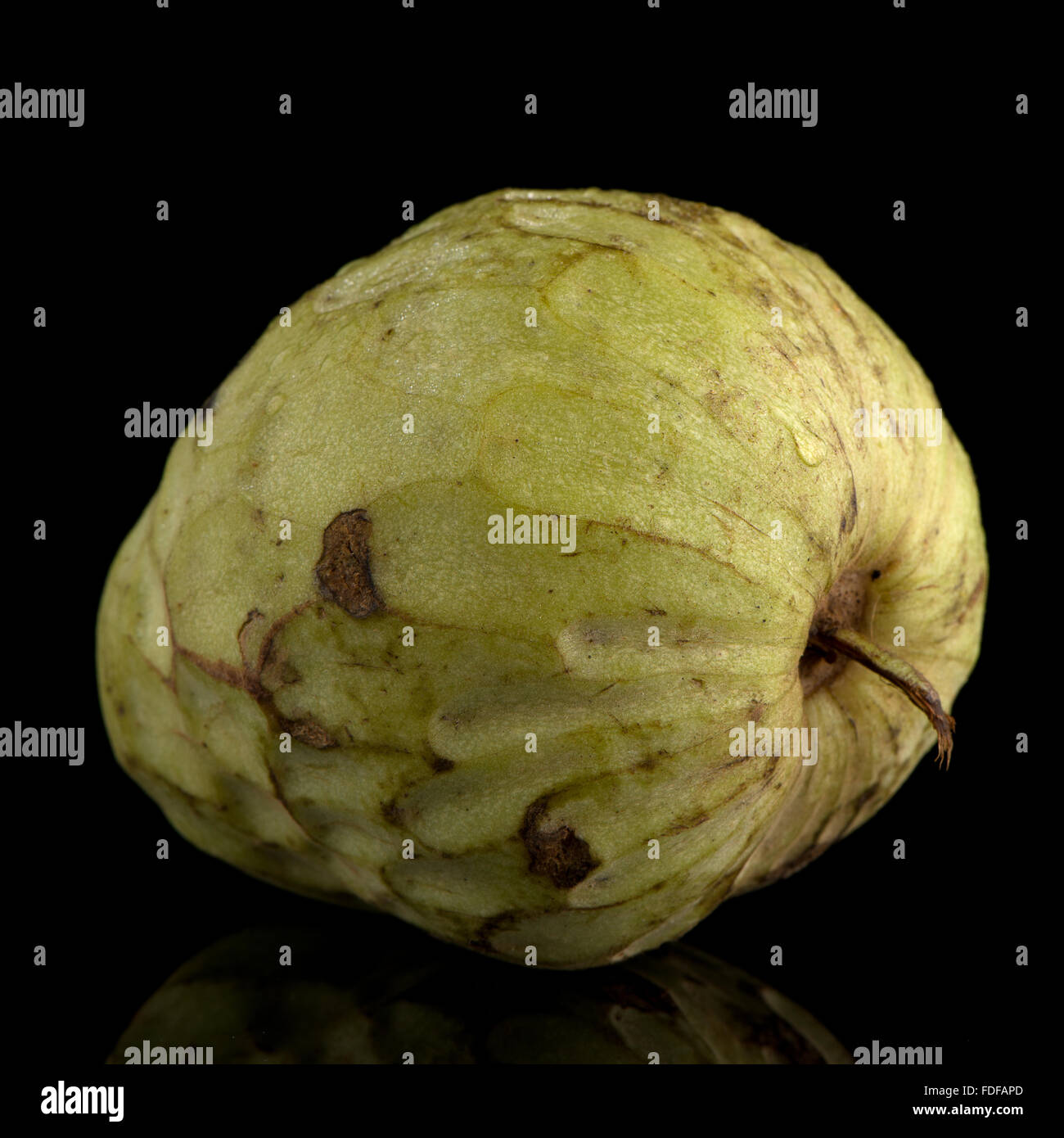 Custard apple, also known as Bullocks or Bulls Heart.On black with ...