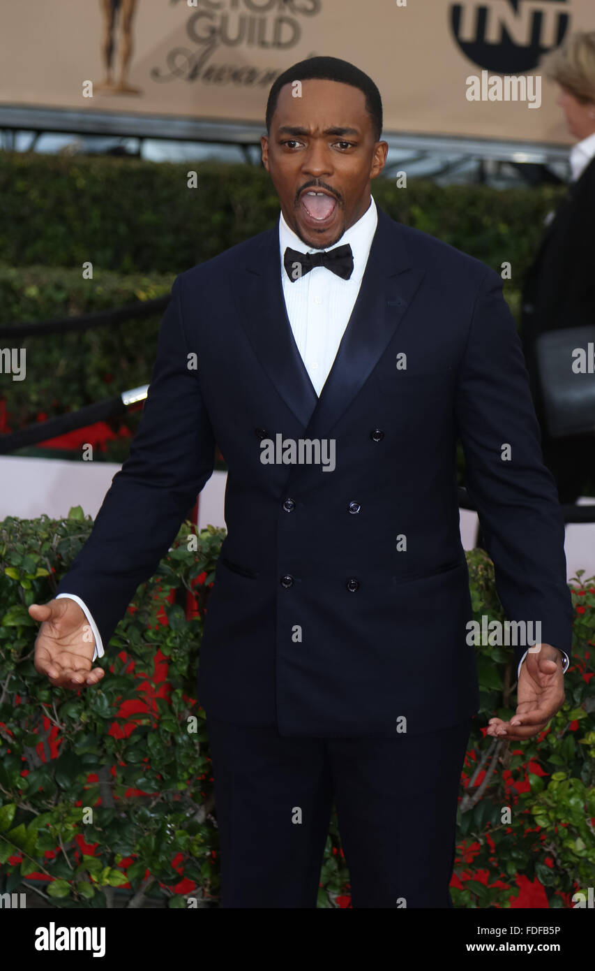 Actor Anthony Mackie attends the 22nd Annual Screen Actors Guild Awards ...
