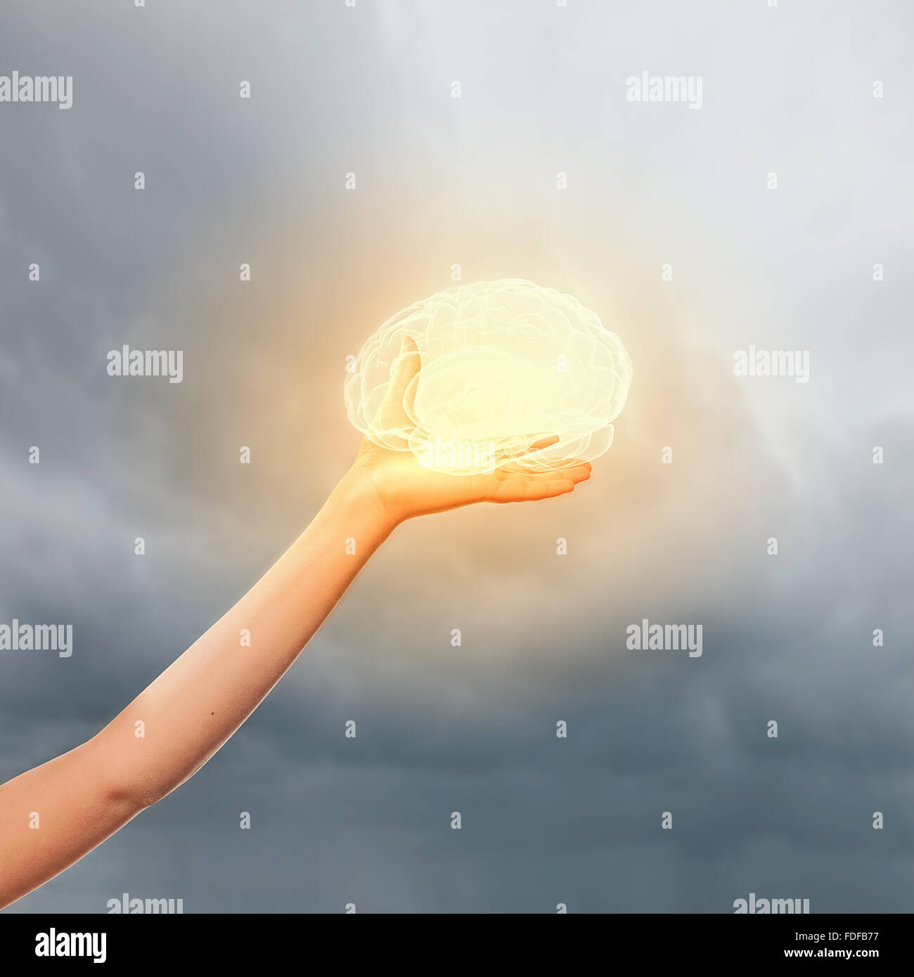 Close-up image of human hand holding brain illustration Stock Photo - Alamy