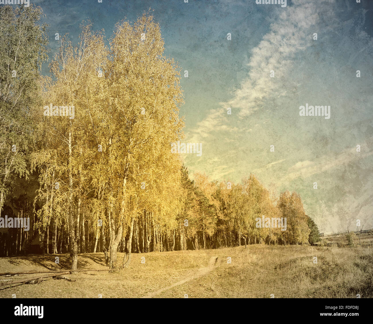 Old picture with forrest landscape as a background Stock Photo - Alamy