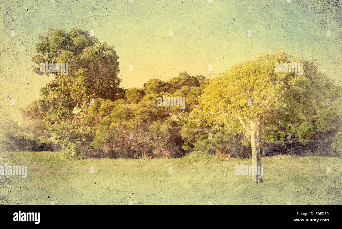 Old picture with forrest landscape as a background Stock Photo - Alamy