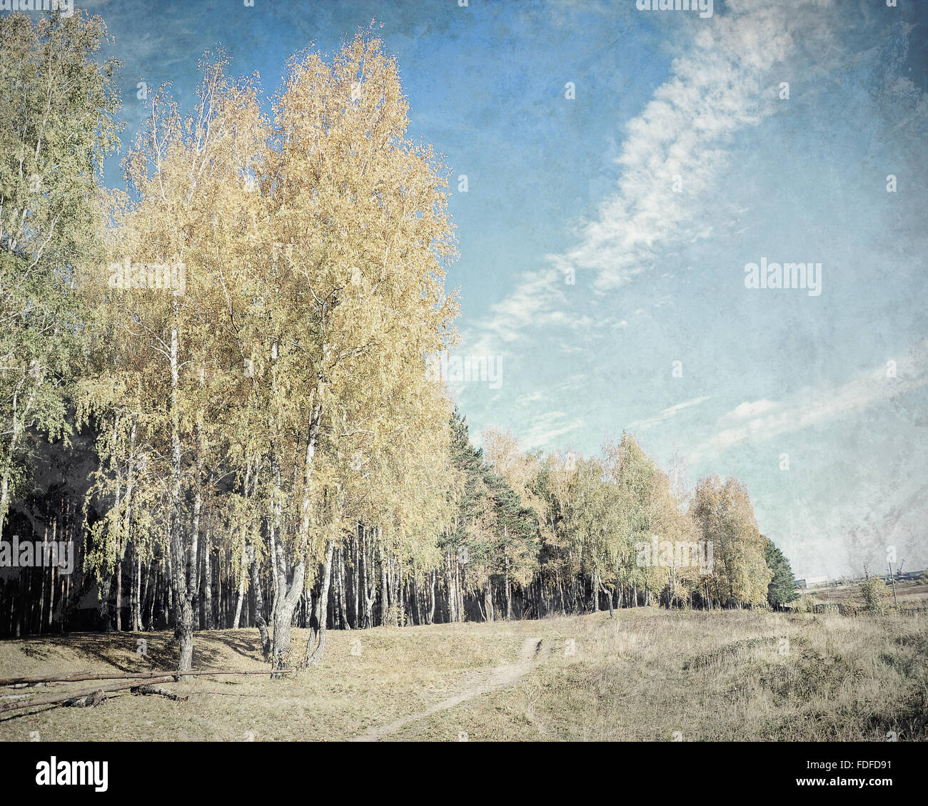 Old picture with forrest landscape as a background Stock Photo - Alamy