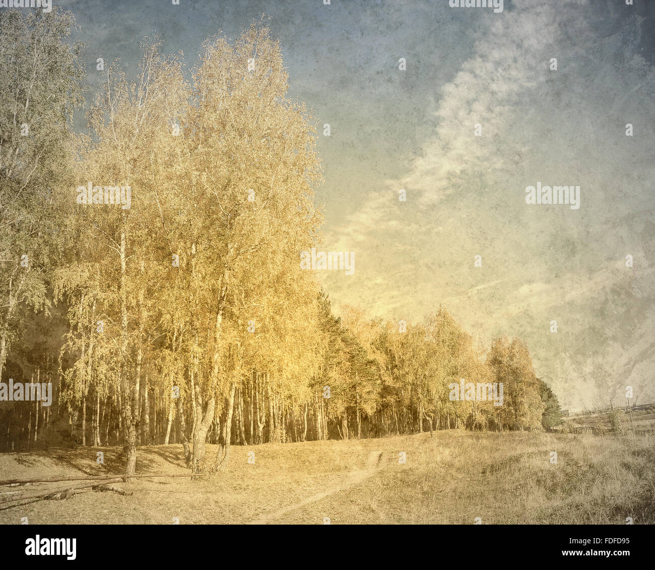 Old picture with forrest landscape as a background Stock Photo - Alamy