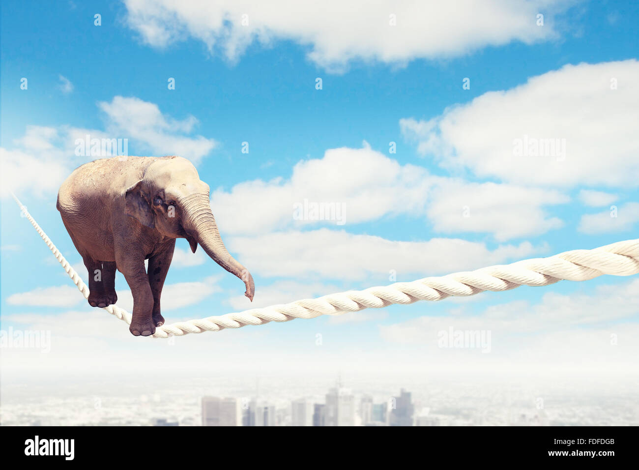 Image of elephant walking on rope high in sky Stock Photo - Alamy