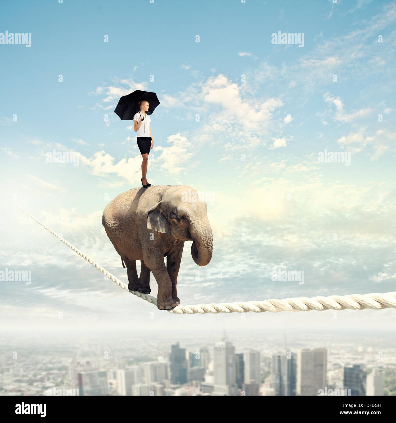 Image of elephant walking on rope high in sky Stock Photo - Alamy