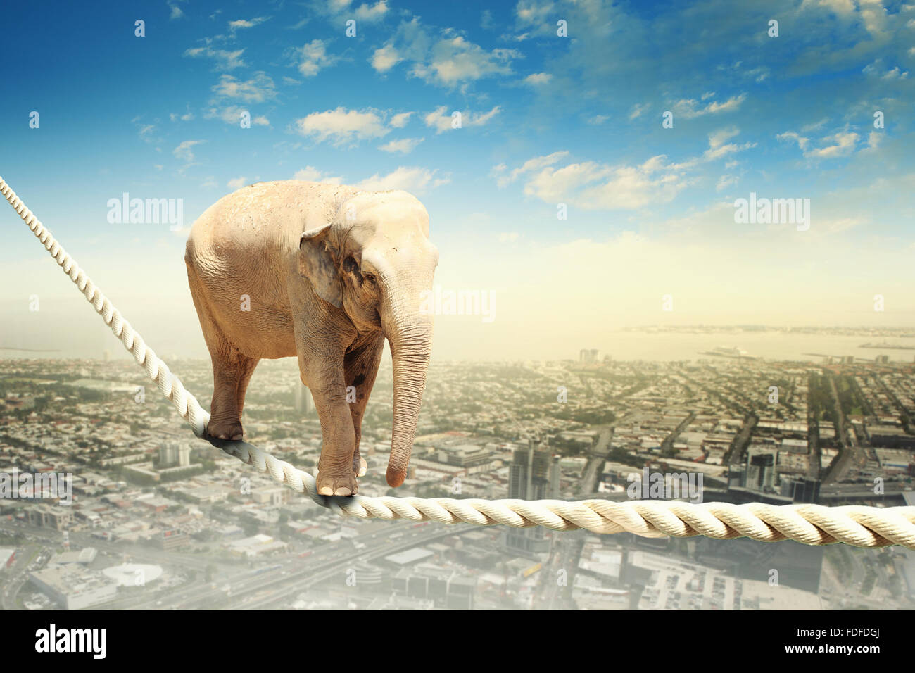 Image of elephant walking on rope high in sky Stock Photo - Alamy