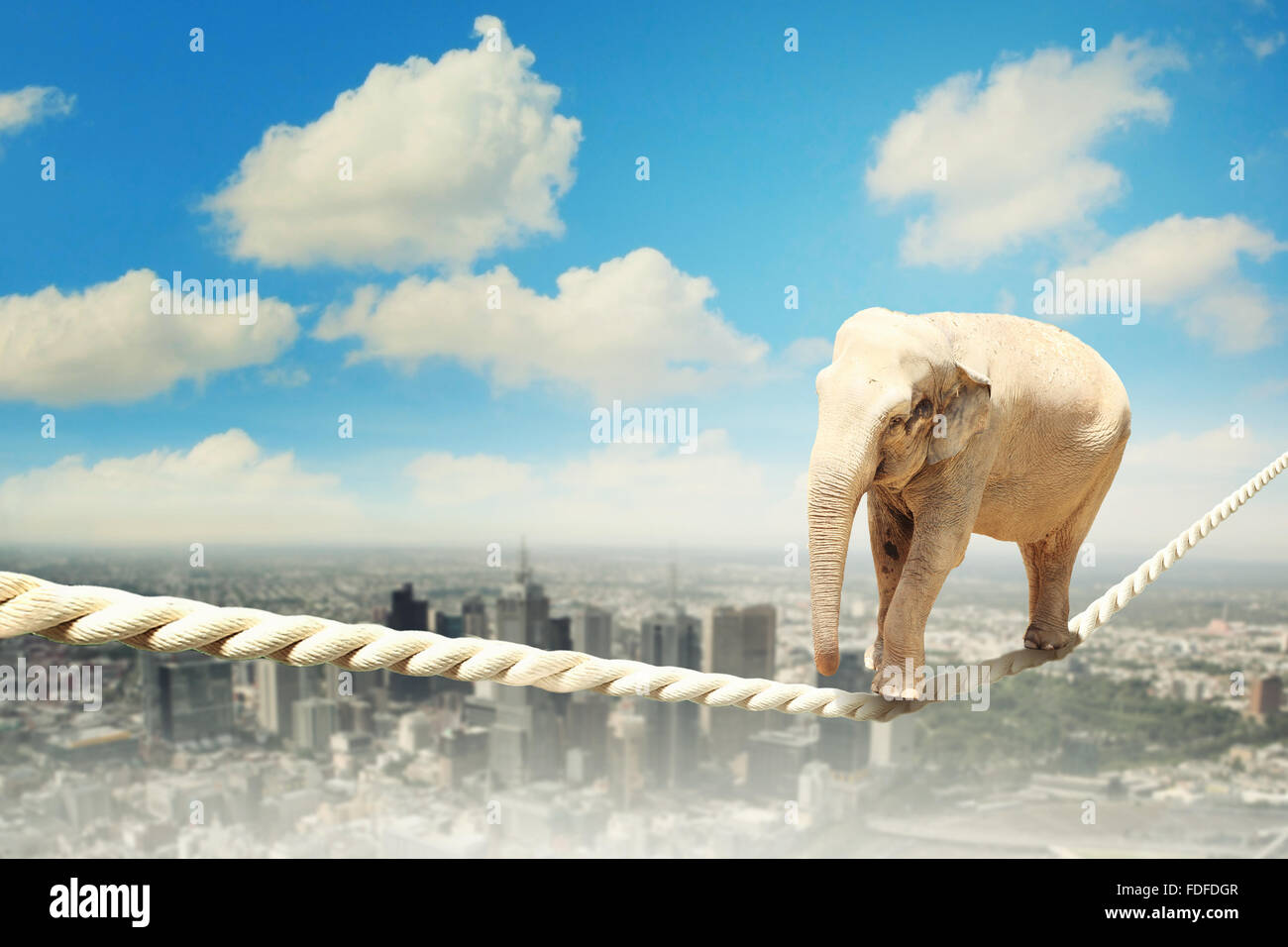 Image of elephant walking on rope high in sky Stock Photo - Alamy