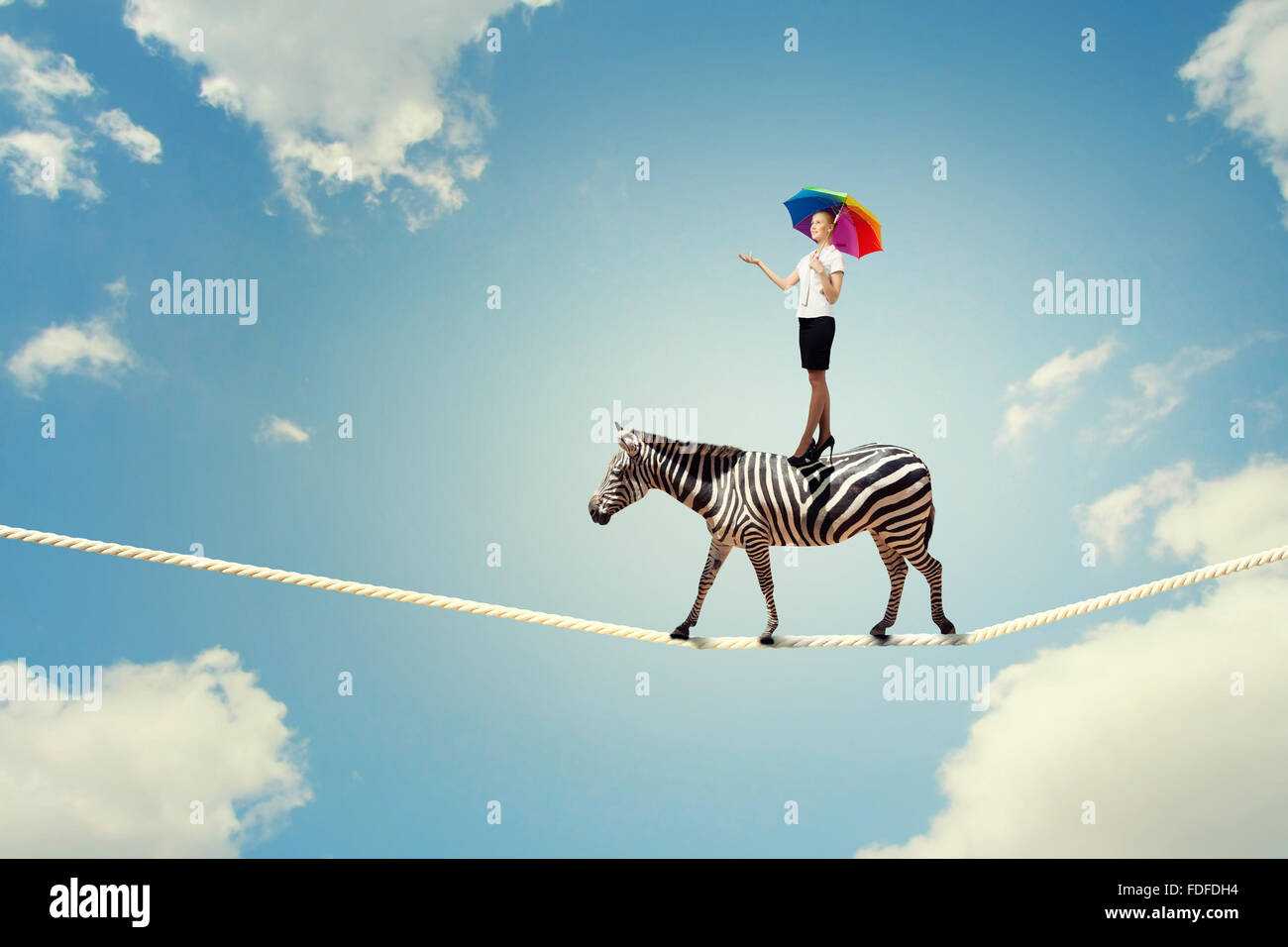 Image of zebra walking on rope high in sky Stock Photo - Alamy