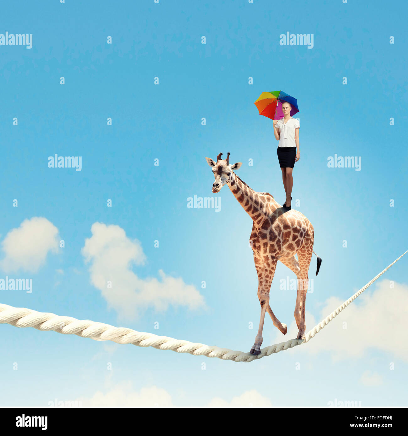 Image of giraffe walking on rope high in sky Stock Photo - Alamy