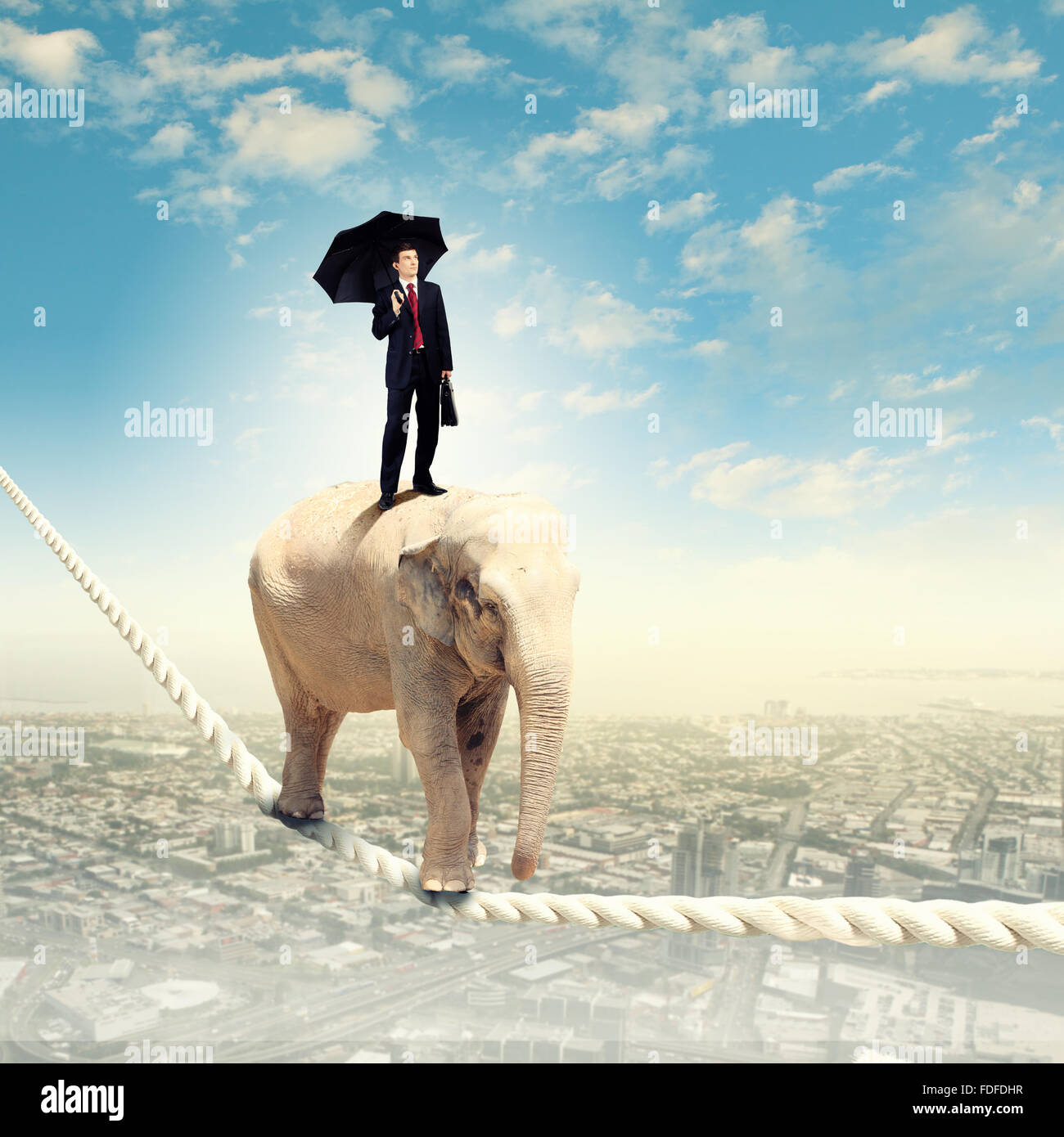 Image of elephant walking on rope high in sky Stock Photo - Alamy