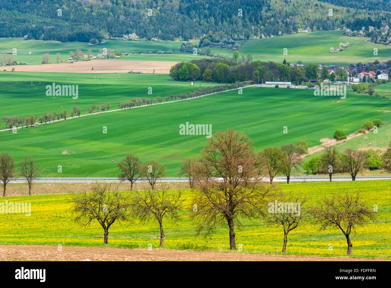 Endless agricultural field, lines of roads, green trees, farm and ...