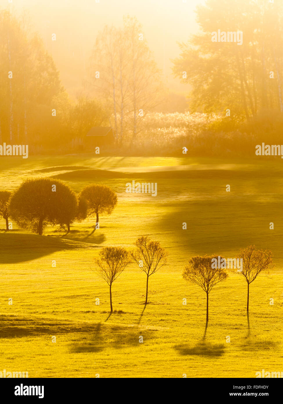 Morning sunshine time of leisure hi-res stock photography and images ...