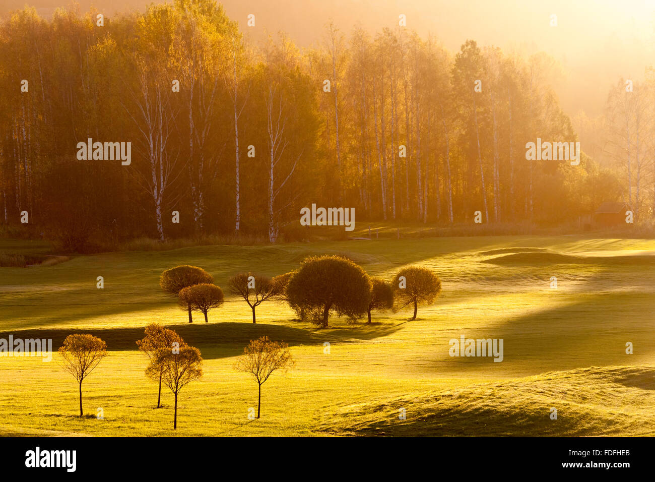 Morning sunshine time of leisure hi-res stock photography and images ...