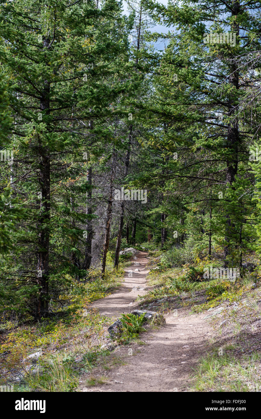 Valley of the Five Lakes, hiking way, canadian Rocky Mountains, Jasper ...