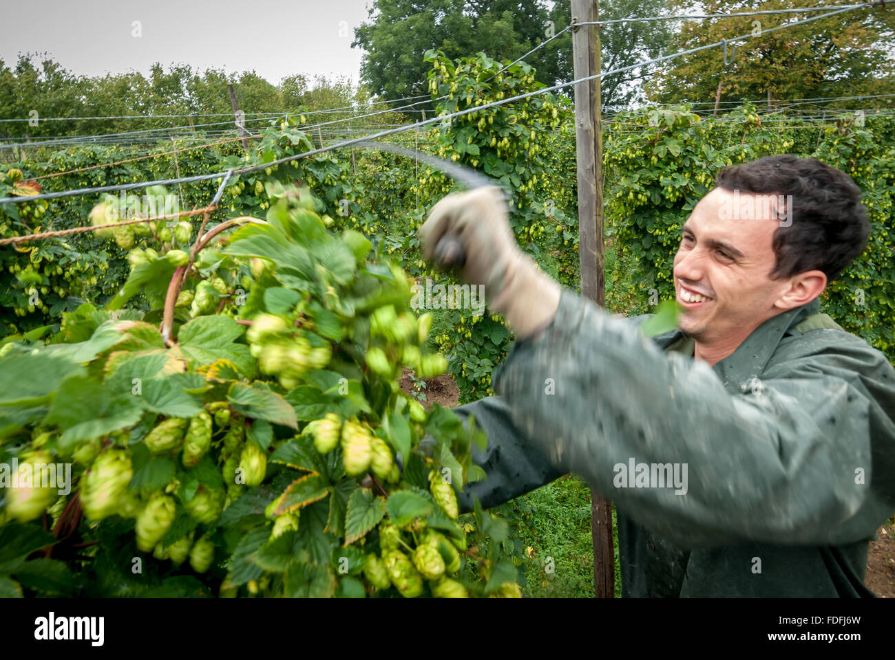 Kitchenham hi-res stock photography and images - Alamy