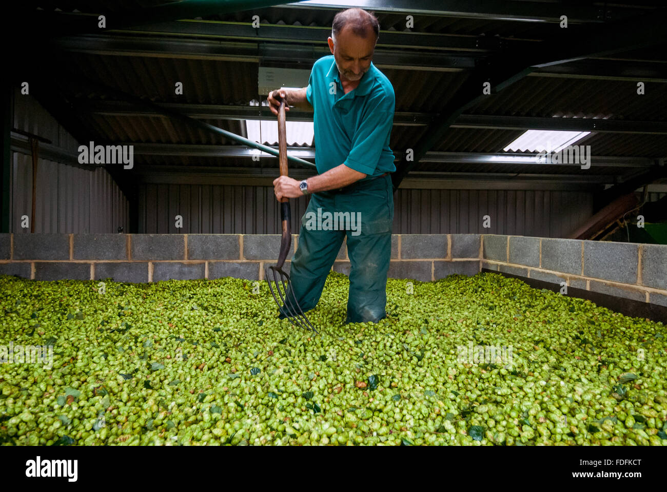 Kitchenham hi-res stock photography and images - Alamy