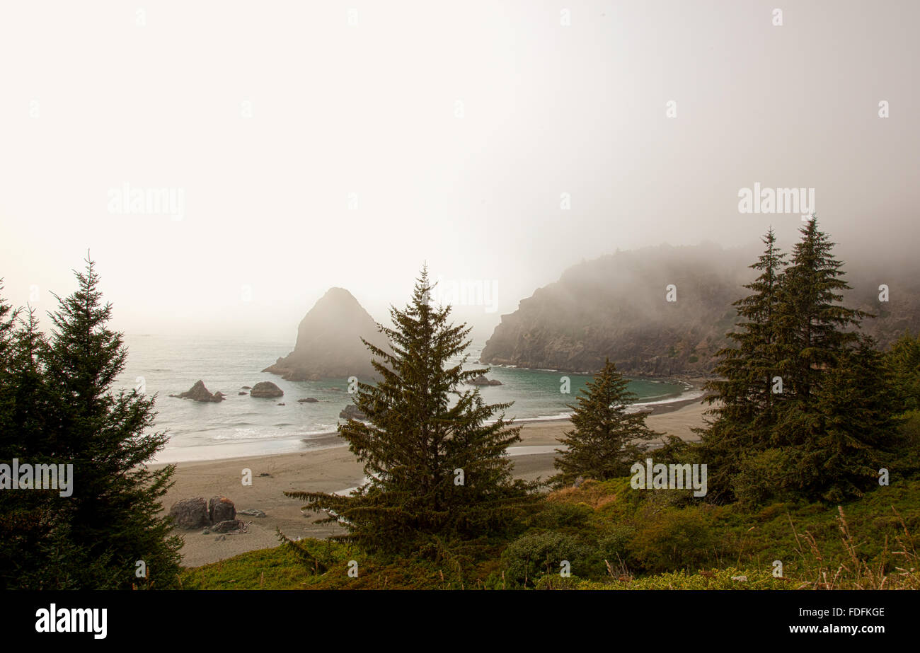 Oregon Beach and large boulders on a foggy morning Stock Photo - Alamy