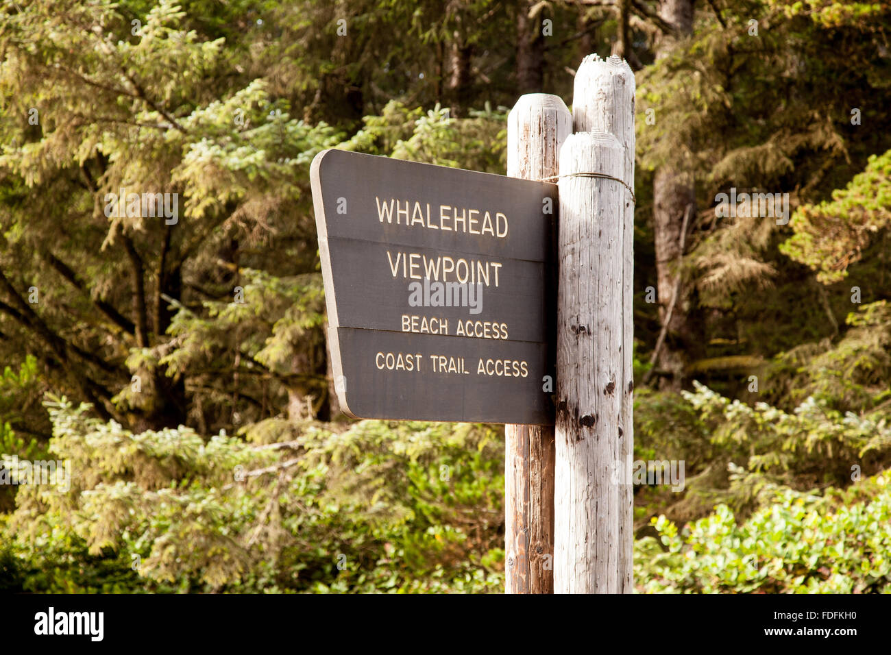 Whalehead Viewpoint sign for beach access along the Oregon Coastline ...