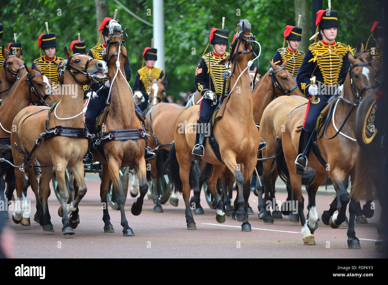Trooping the Colour, London, United Kingdom Stock Photo - Alamy