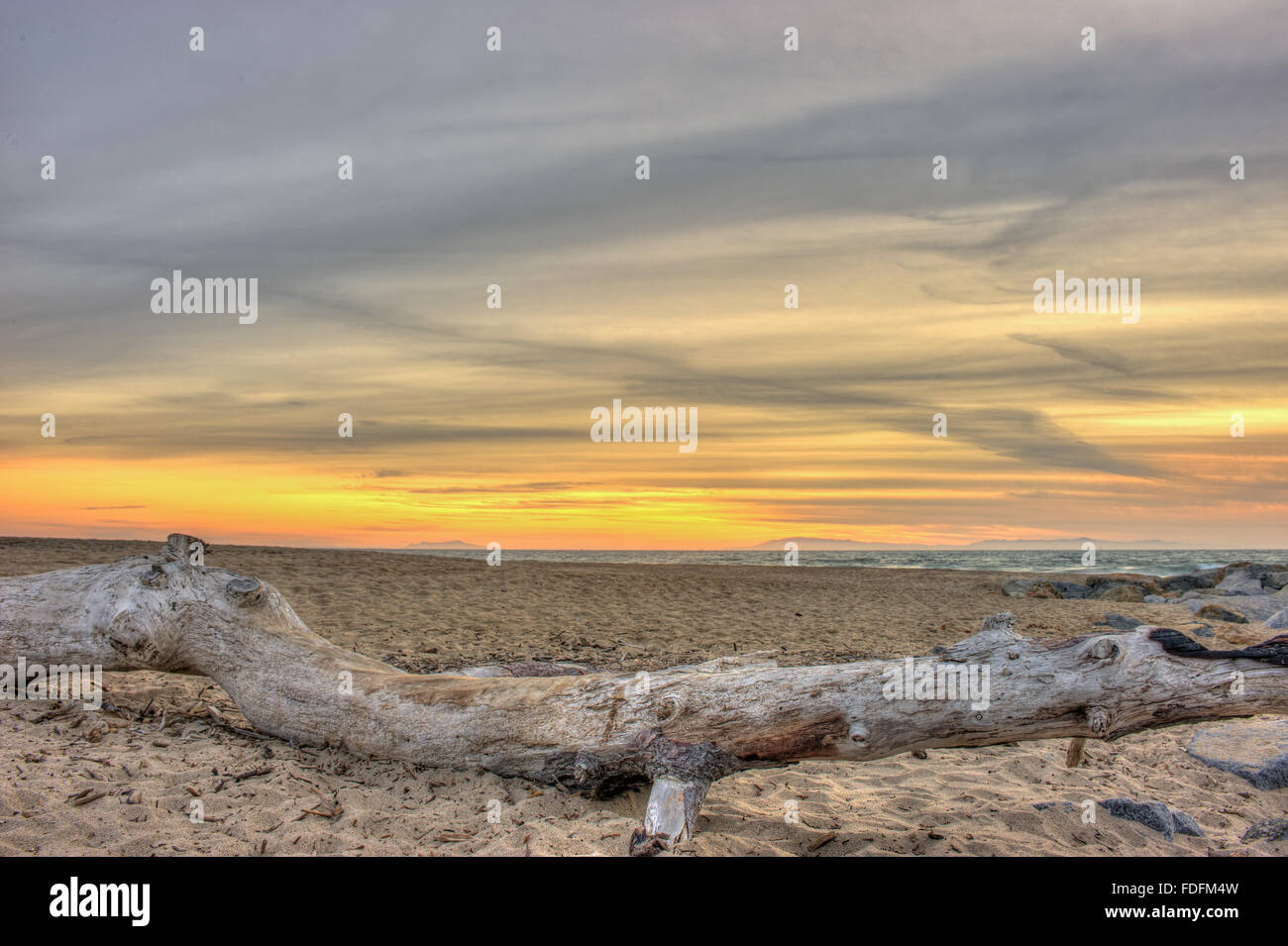 Beach log hi-res stock photography and images - Alamy