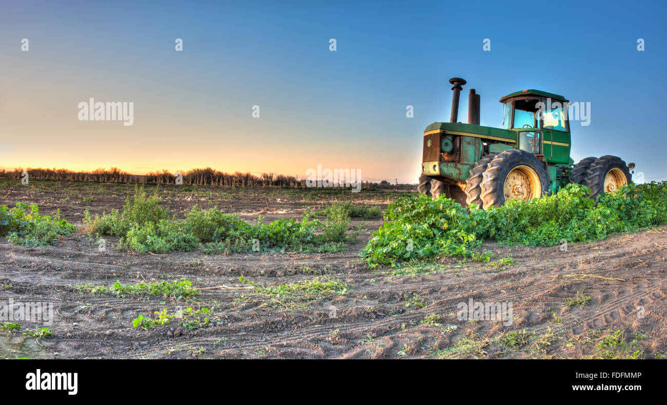 Panoramic view of tractor parked among the weeds Stock Photo - Alamy