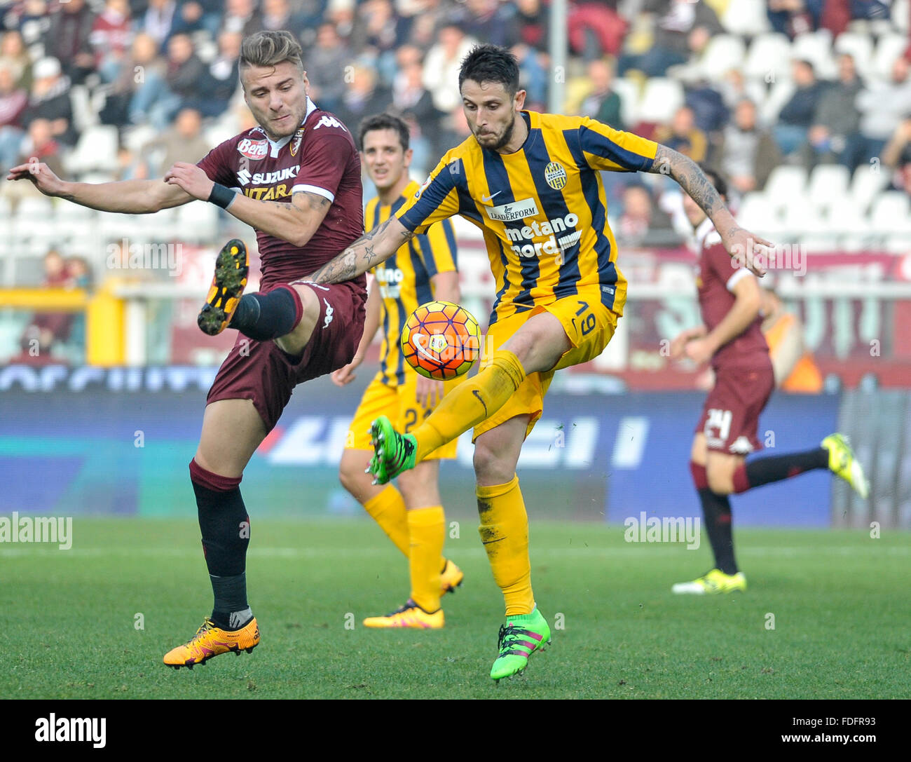 Turin, Italy. 31st January, 2016. Ciro Immobile (left) and Leandro ...
