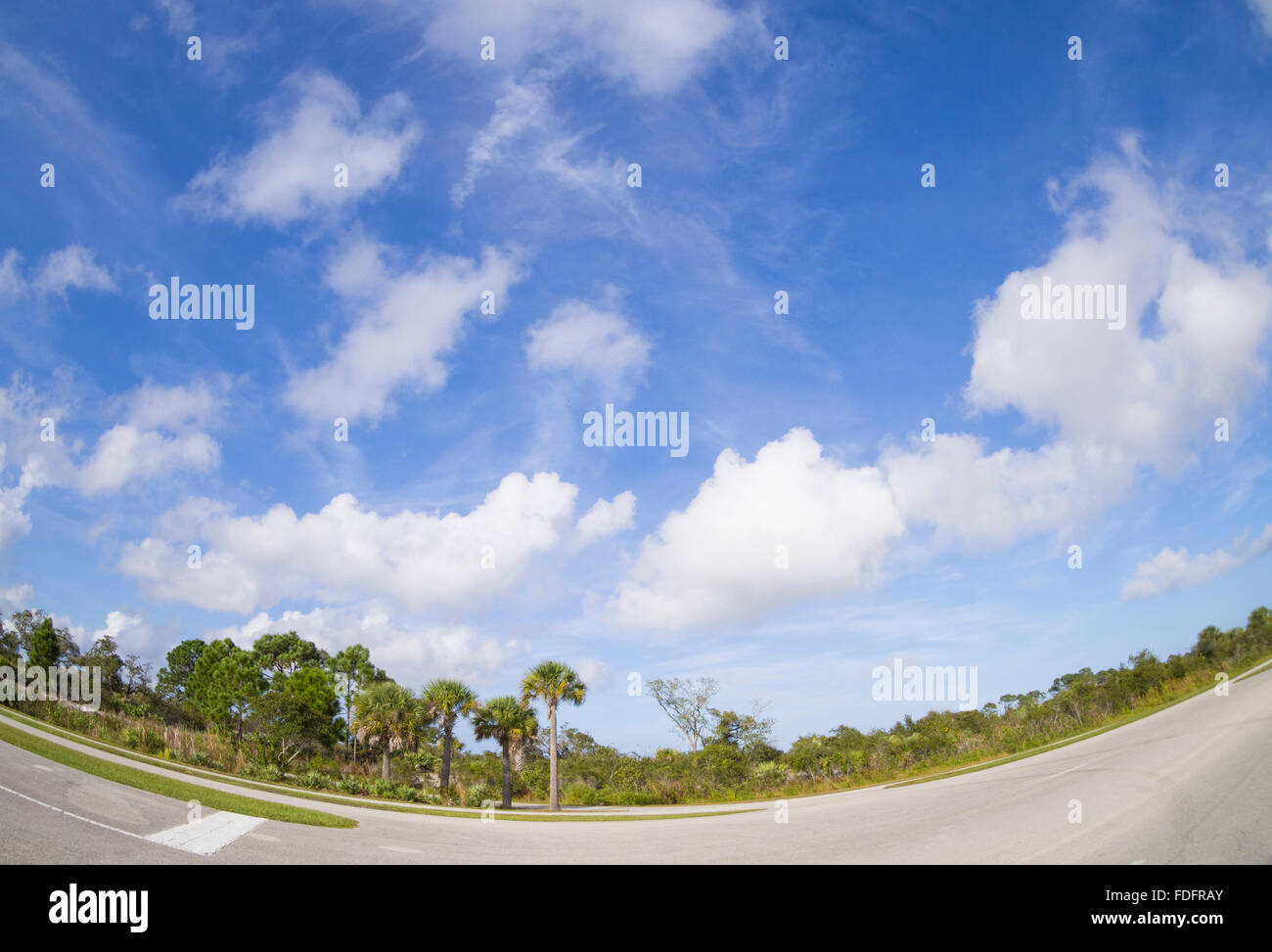 Landscape with a curve Stock Photo - Alamy