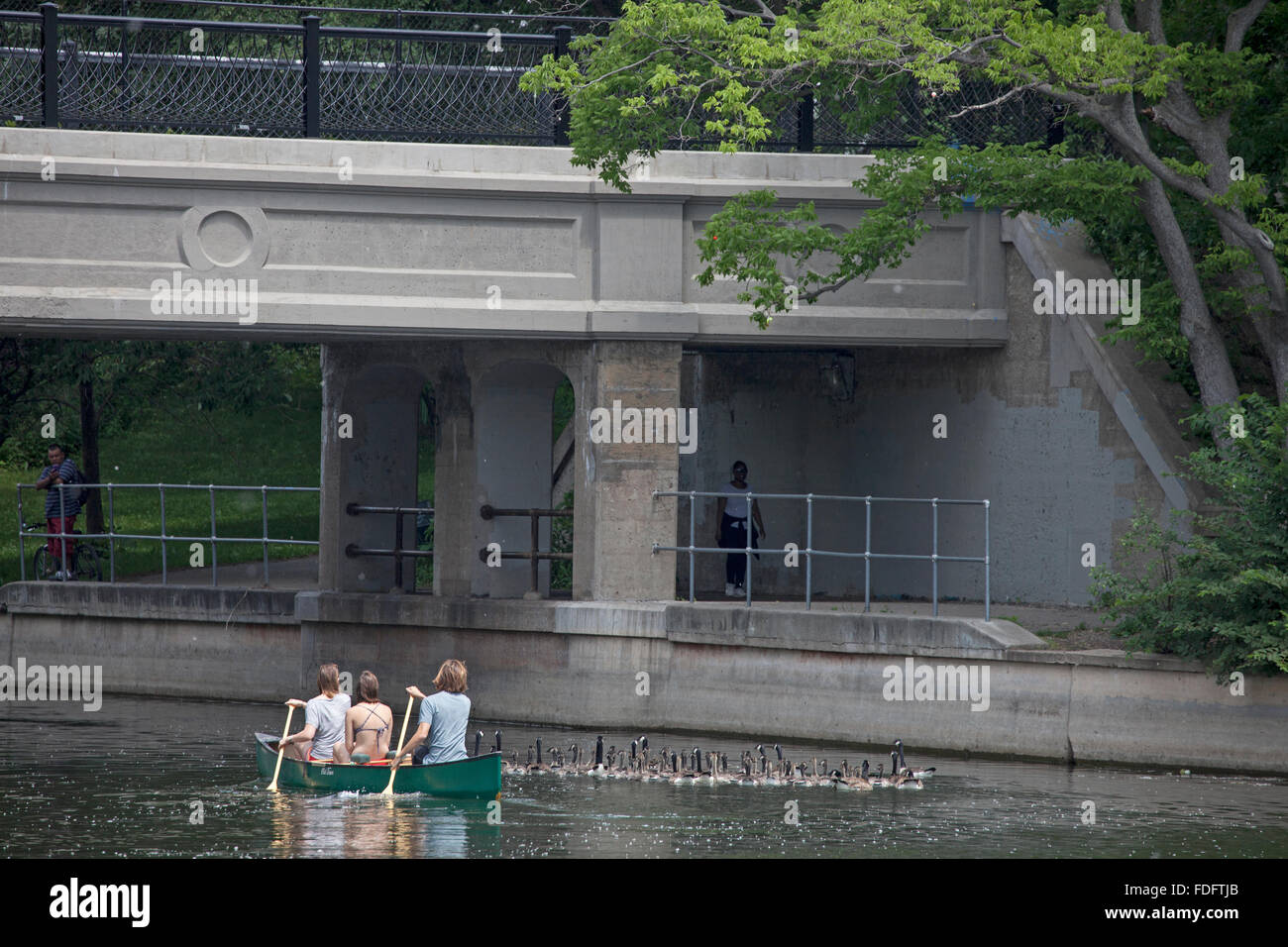Flowing to canoe lake hi-res stock photography and images - Alamy