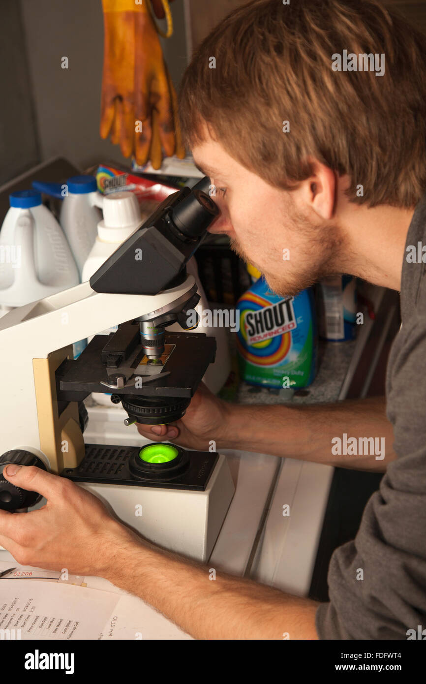 Asbestos particles hi-res stock photography and images - Alamy