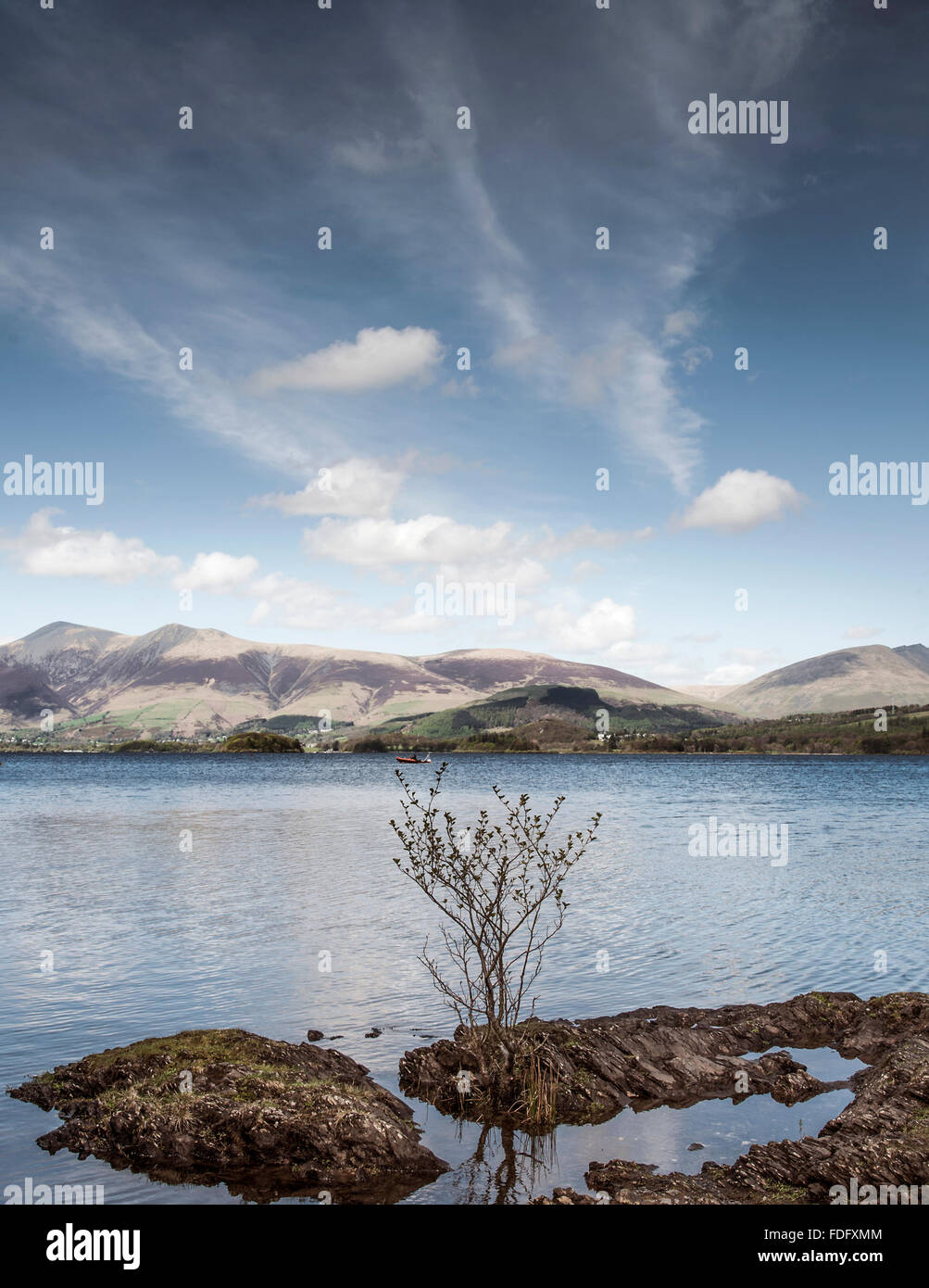 Manesty hi-res stock photography and images - Alamy