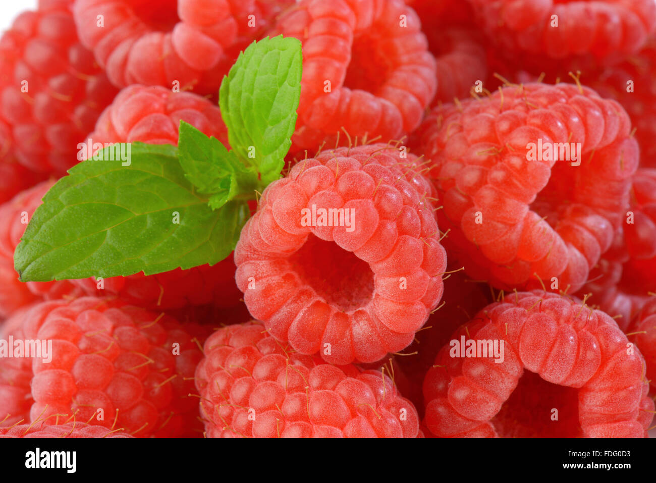 Heap fresh leaves red hi-res stock photography and images - Alamy