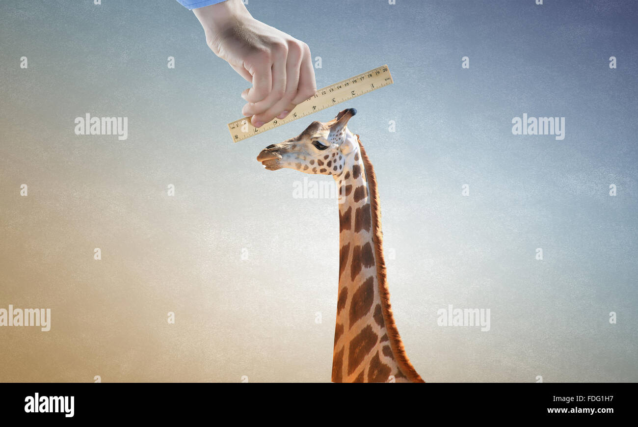 Metre ruler hi-res stock photography and images - Alamy