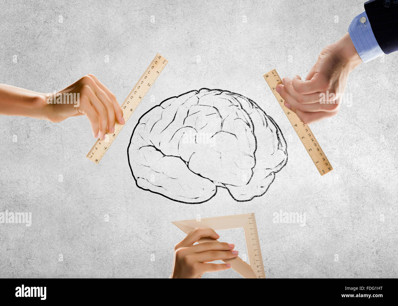 Close up of people hands measuring brain with ruler Stock Photo - Alamy
