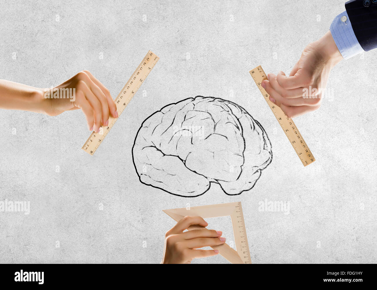 Close up of people hands measuring brain with ruler Stock Photo - Alamy