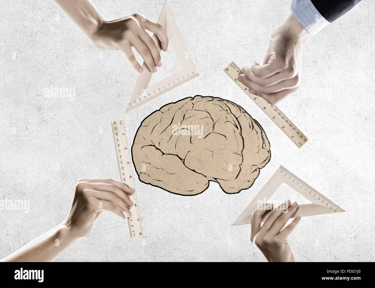 Close up of people hands measuring brain with ruler Stock Photo - Alamy