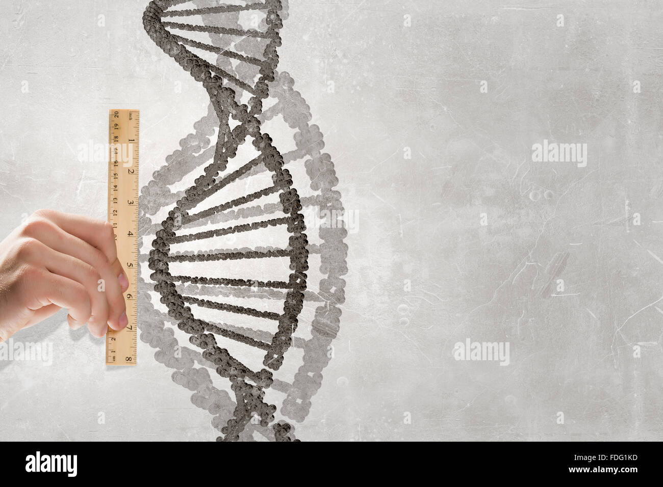 Measuring dna hi-res stock photography and images - Alamy