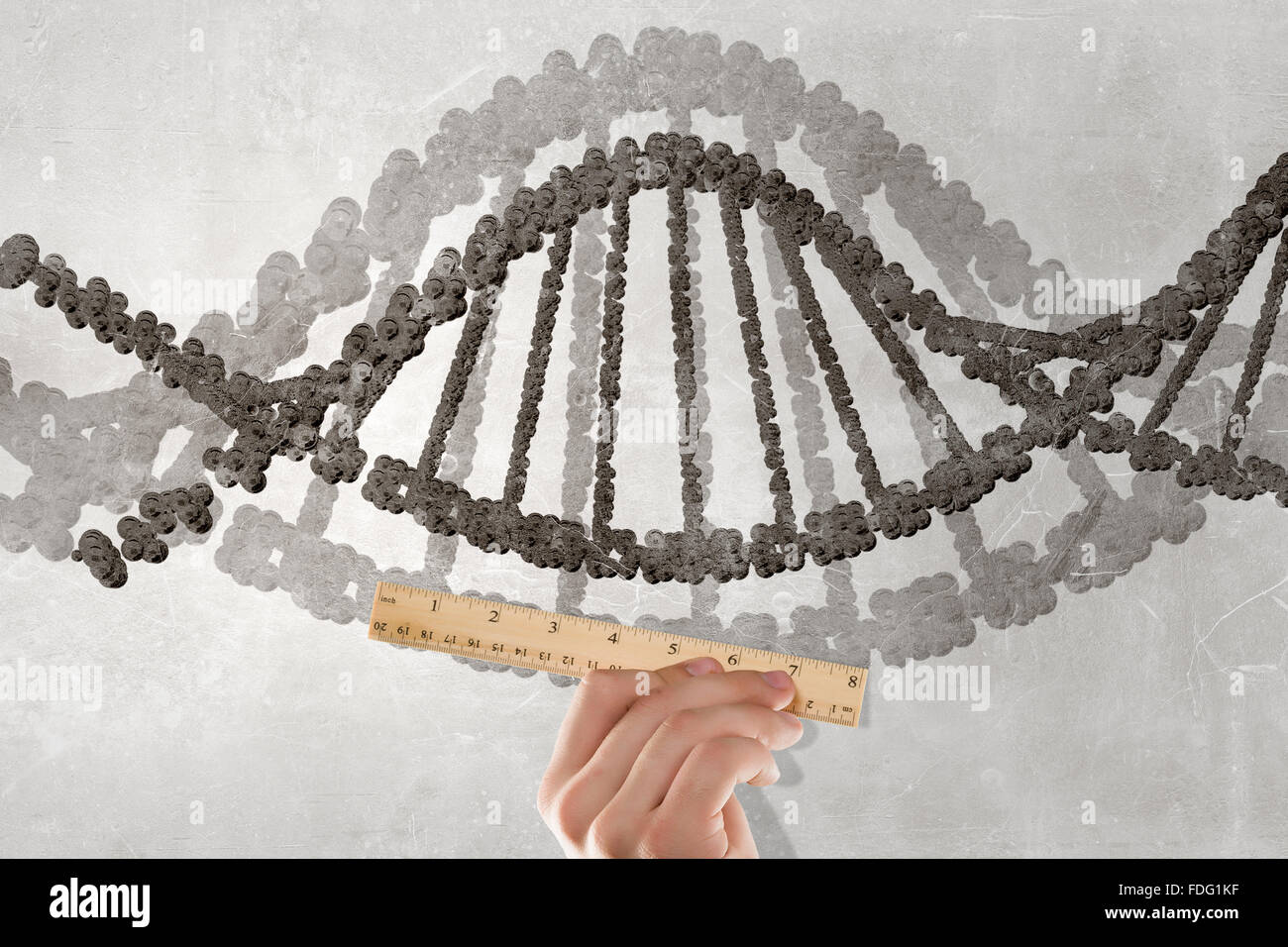 Close up of male hand measuring DNA molecule with ruler Stock Photo - Alamy